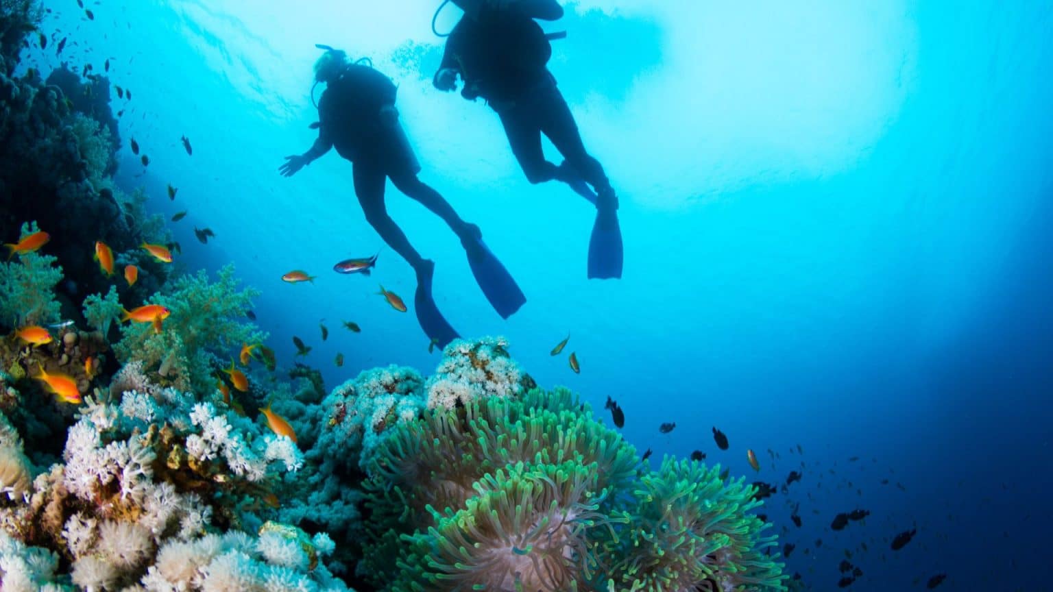 Samal Island FAQ: Your Guide to Visiting Samal - Samal Shores Residenza