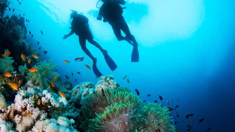 Samal Island FAQ: Your Guide to Visiting Samal - Samal Shores Residenza