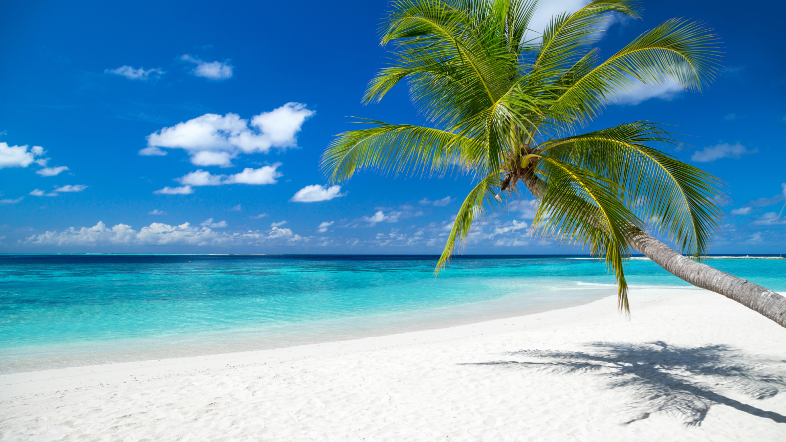 Samal Island FAQ: Your Guide to Visiting Samal - Samal Shores Residenza
